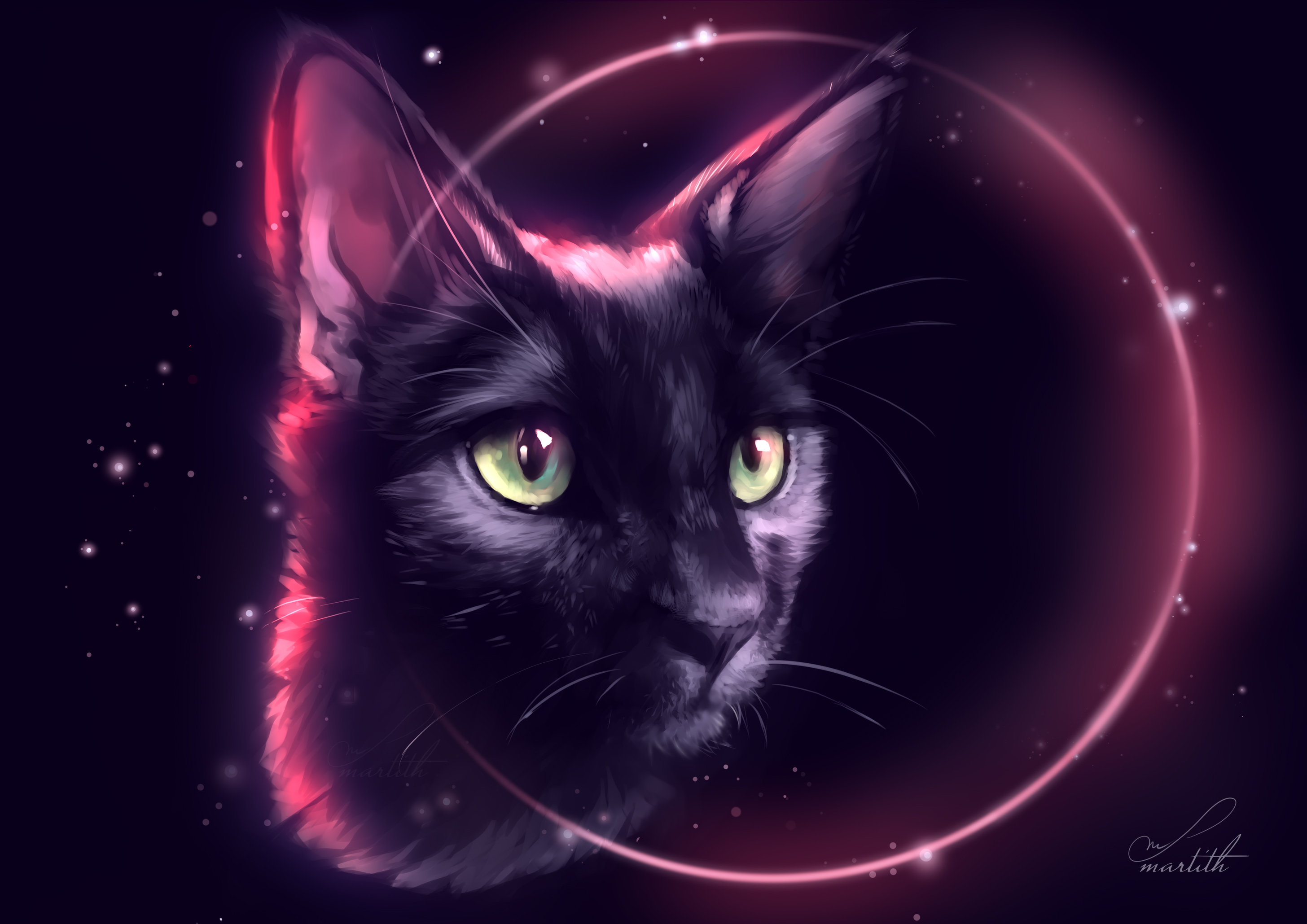 Cat Eclipse, HD Artist, 4k Wallpapers, Images, Backgrounds, Photos and ...