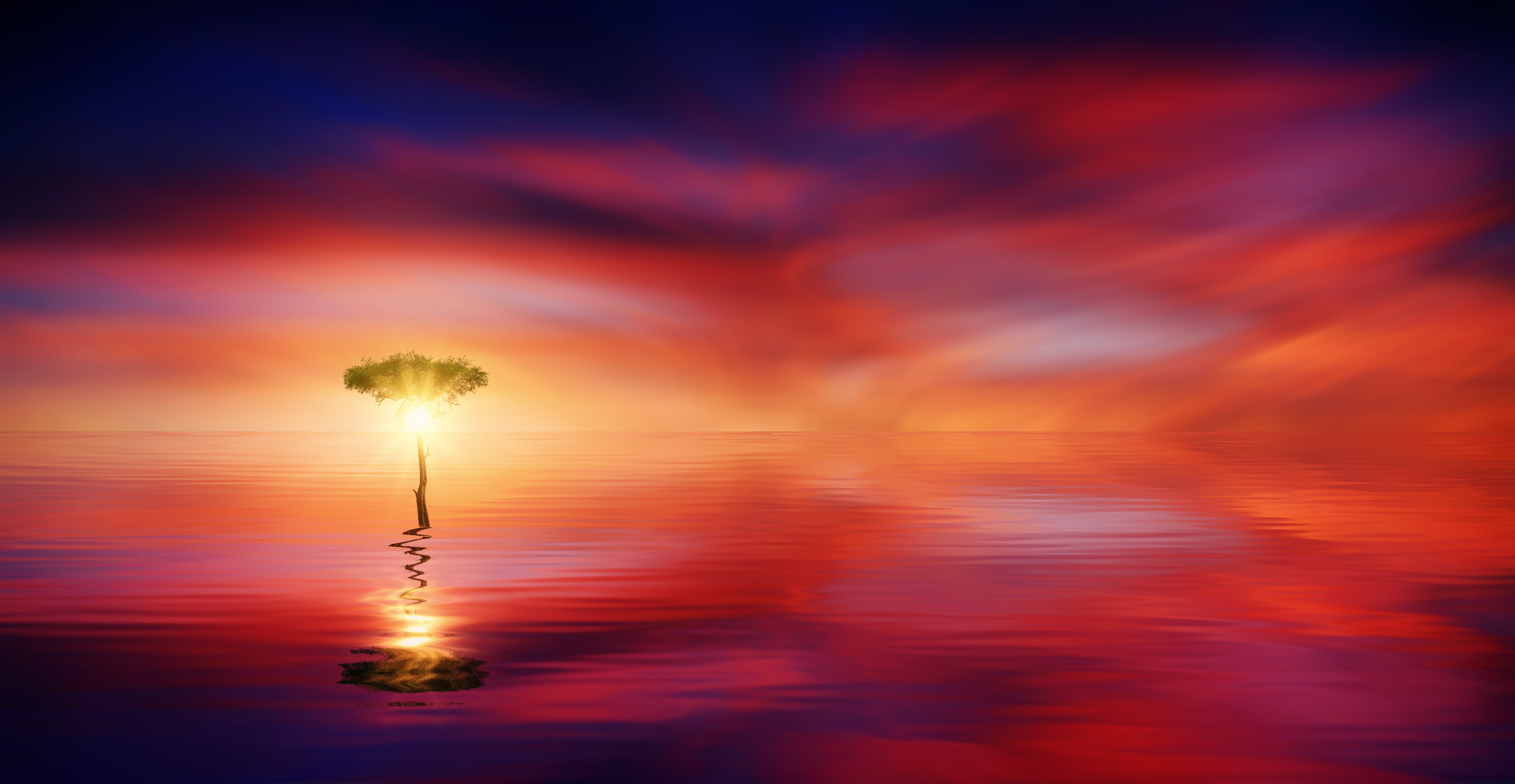 Sunset Ocean Tree Sun Light, HD Nature, 4k Wallpapers, Images ...